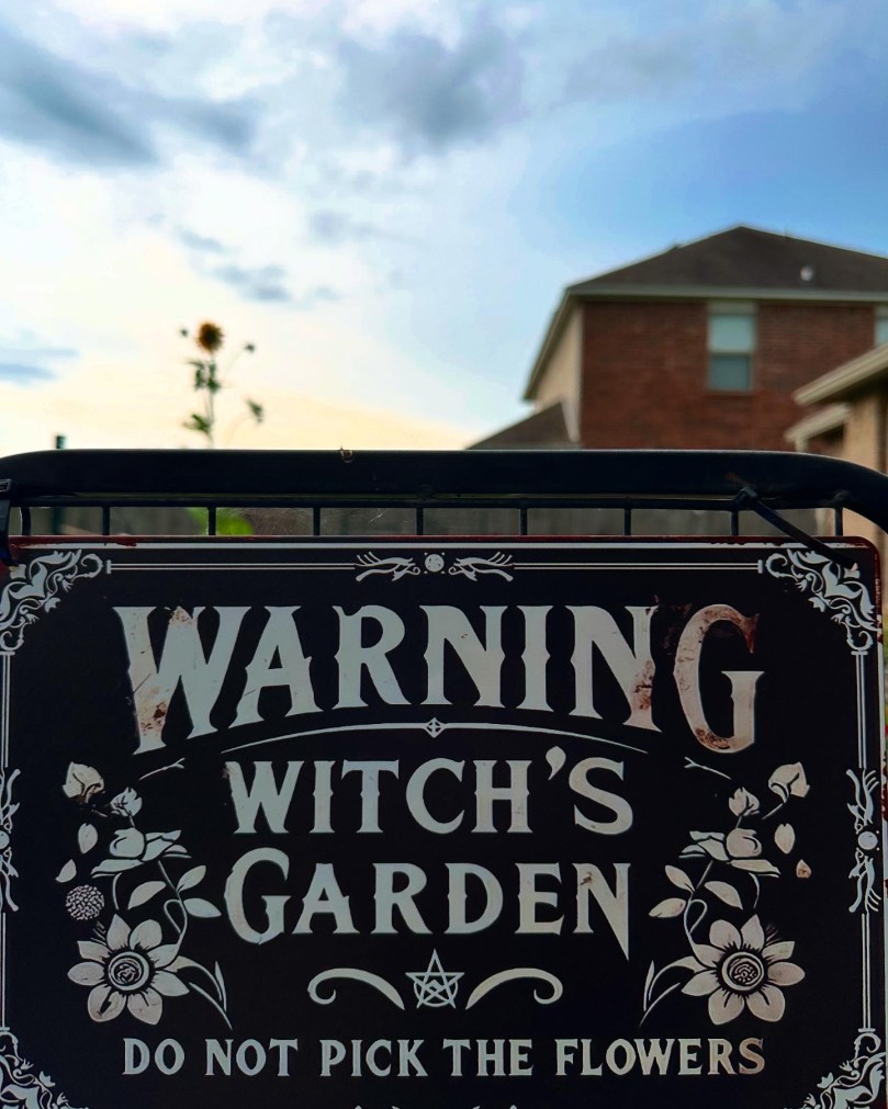 This summer so far? A+